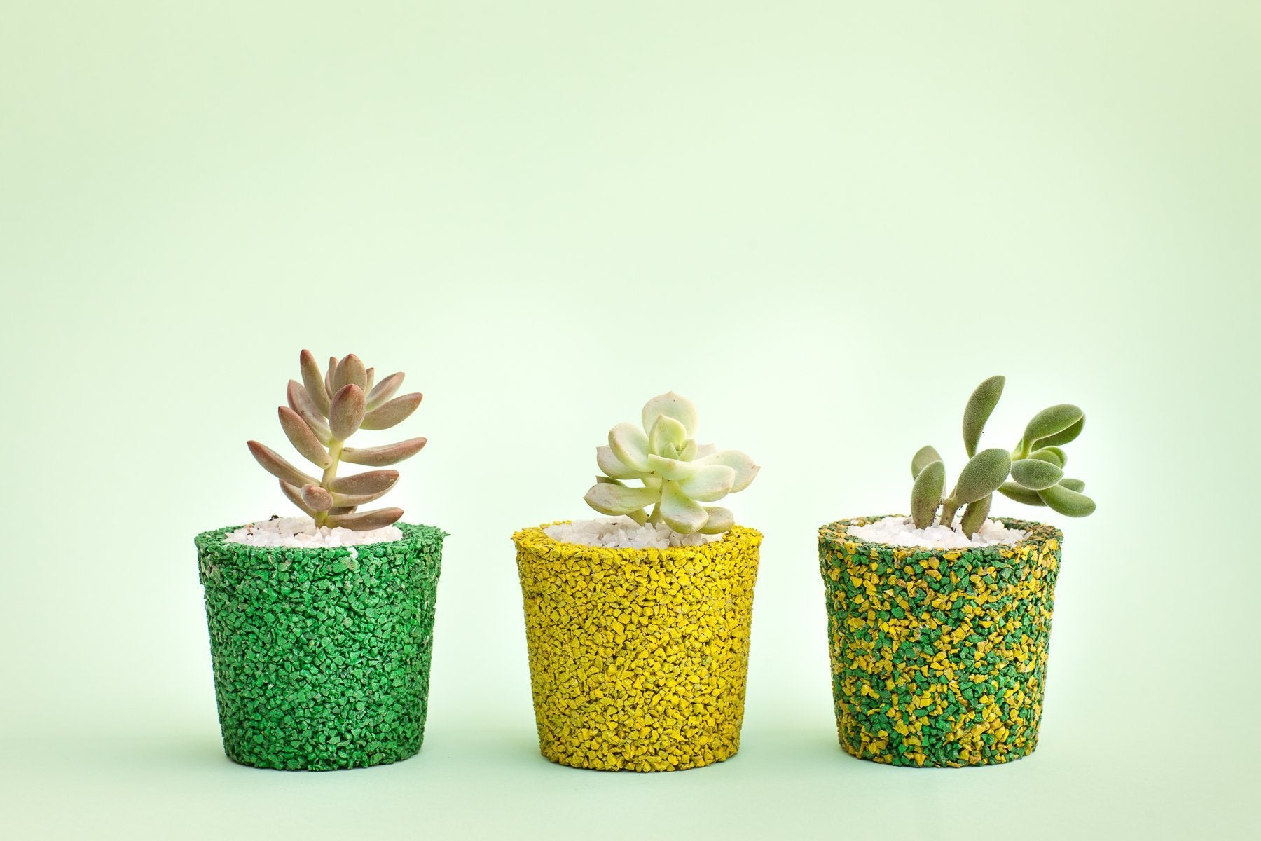 NEWMUKA2025 – Muka Chile